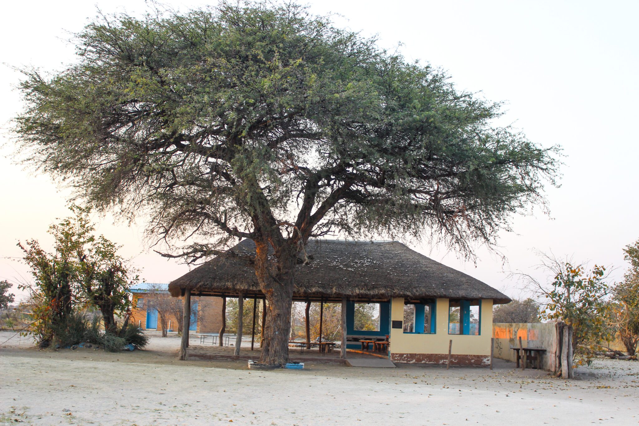 Khwai Community Area - Moremi Game Reserve Botswana