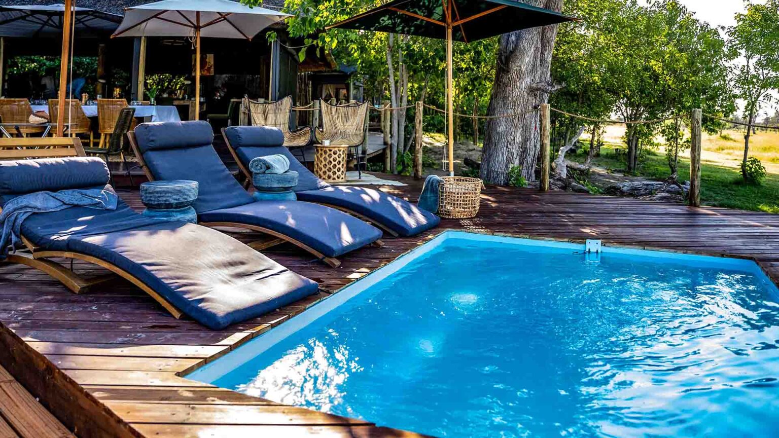 Gallery – Khwai Expeditions Camp