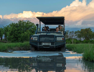 Khwai Expeditions Camp -The No.1 Luxury Safari Camp in Khwai