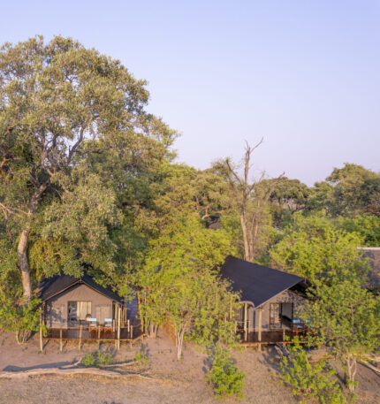 Adventure in Your No1 Luxury Camp - Khwai Expeditions Camp