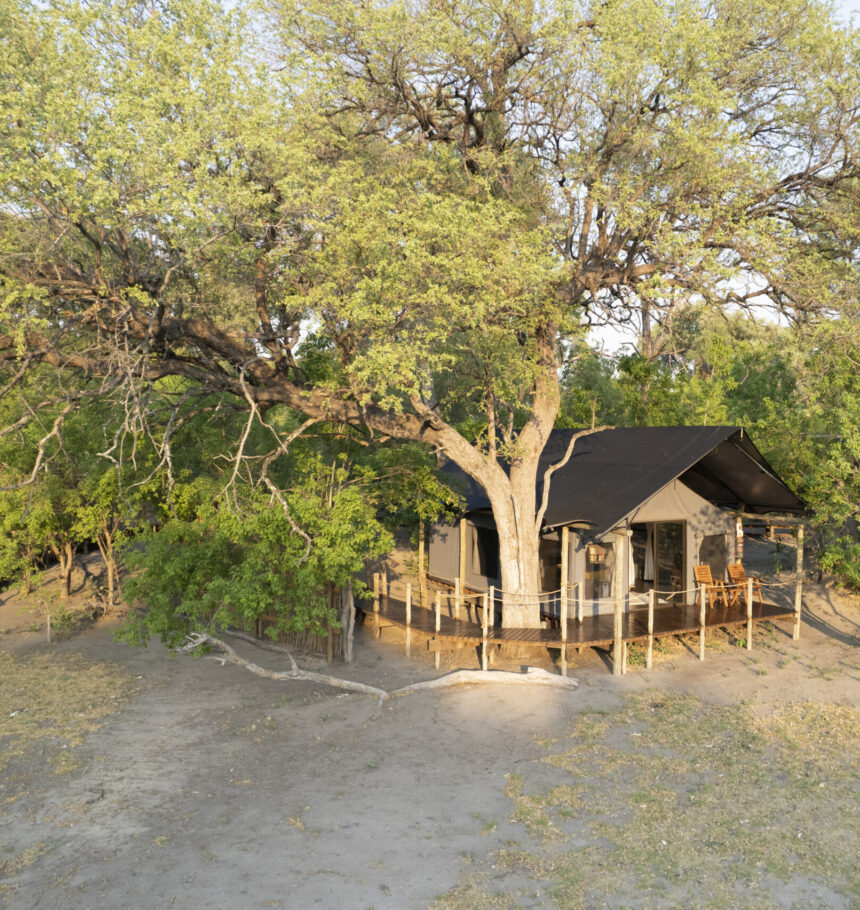 Adventure in Your No1 Luxury Camp - Khwai Expeditions Camp